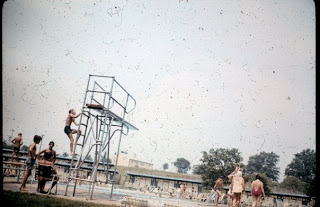 Frozen on the High Dive! - Metrokids