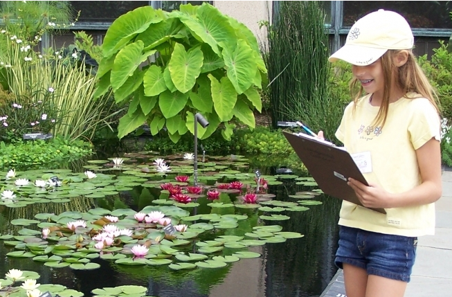 Summer Camp Themes: Kids Gardening