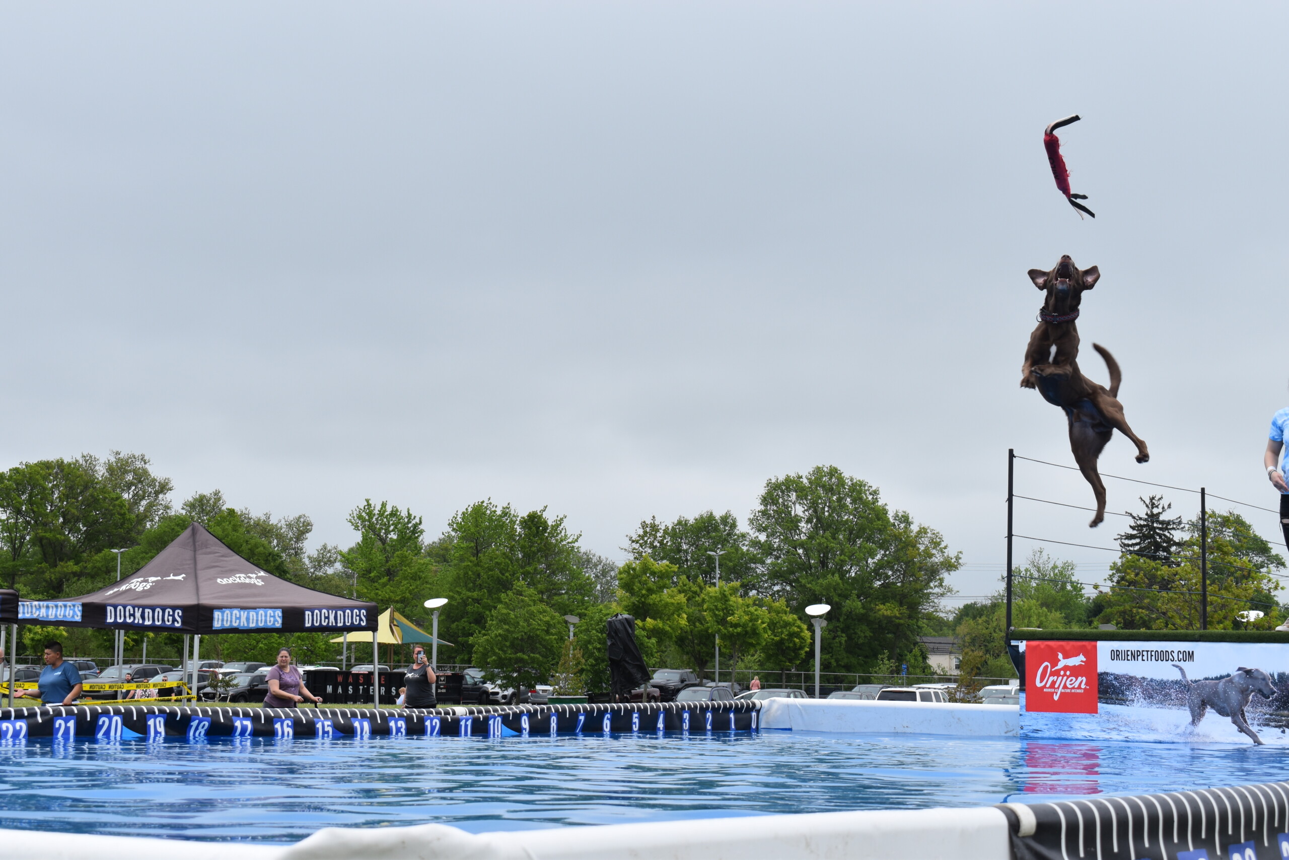 5 Pet-Friendly Outings in the Delaware Valley - Metrokids