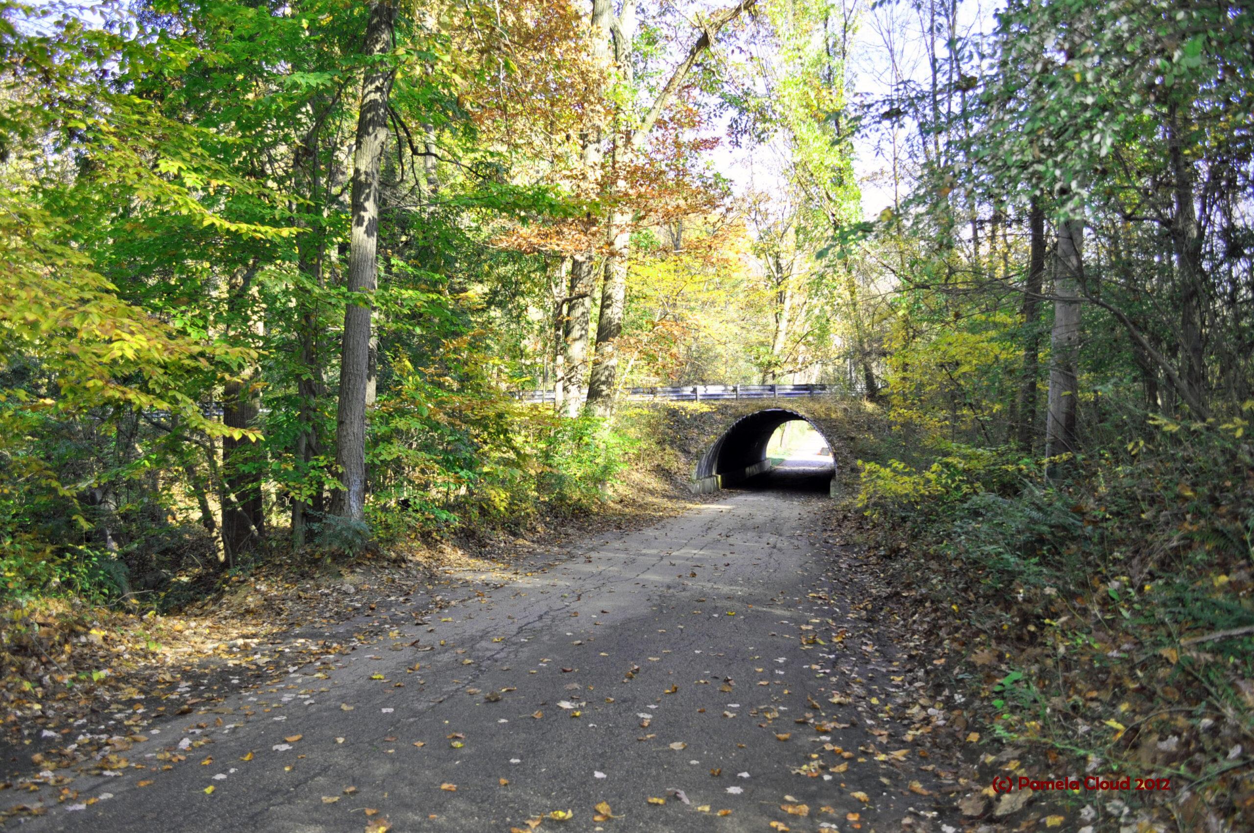 Best Smooth Trails for Bikes and Strollers