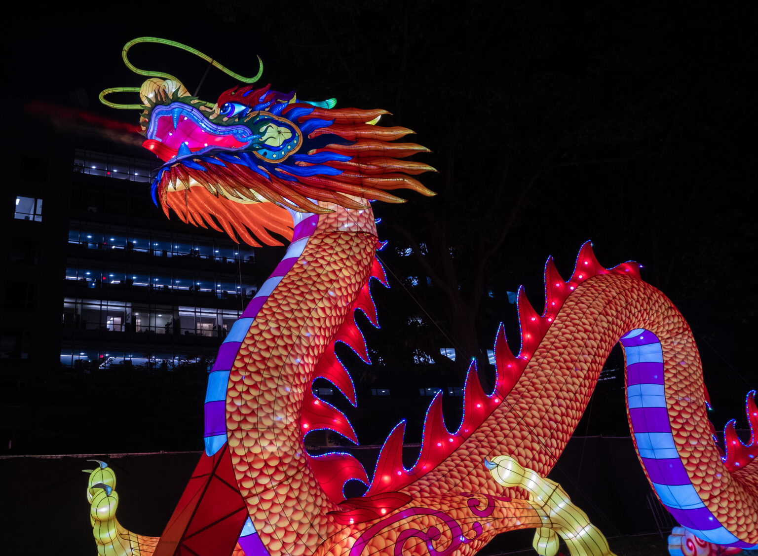 Chinese Lantern Festival: Experience the Light in Philly This Summer ...