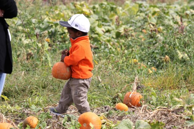 U-Pick Farms in the Delaware Valley